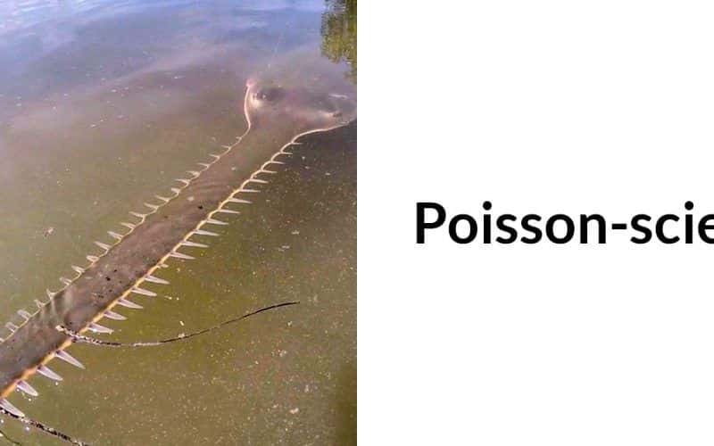 20 photos impressionnantes démontrant la puissance de la nature