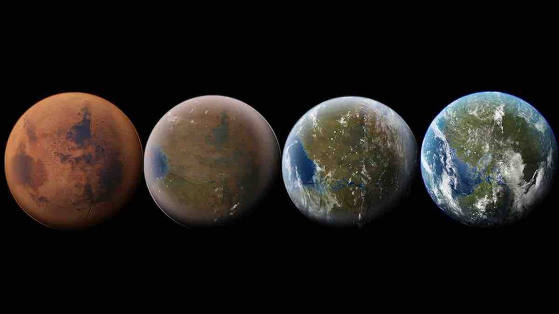 Pour mieux comprendre la carcinisation : la tendance évolutive en ...