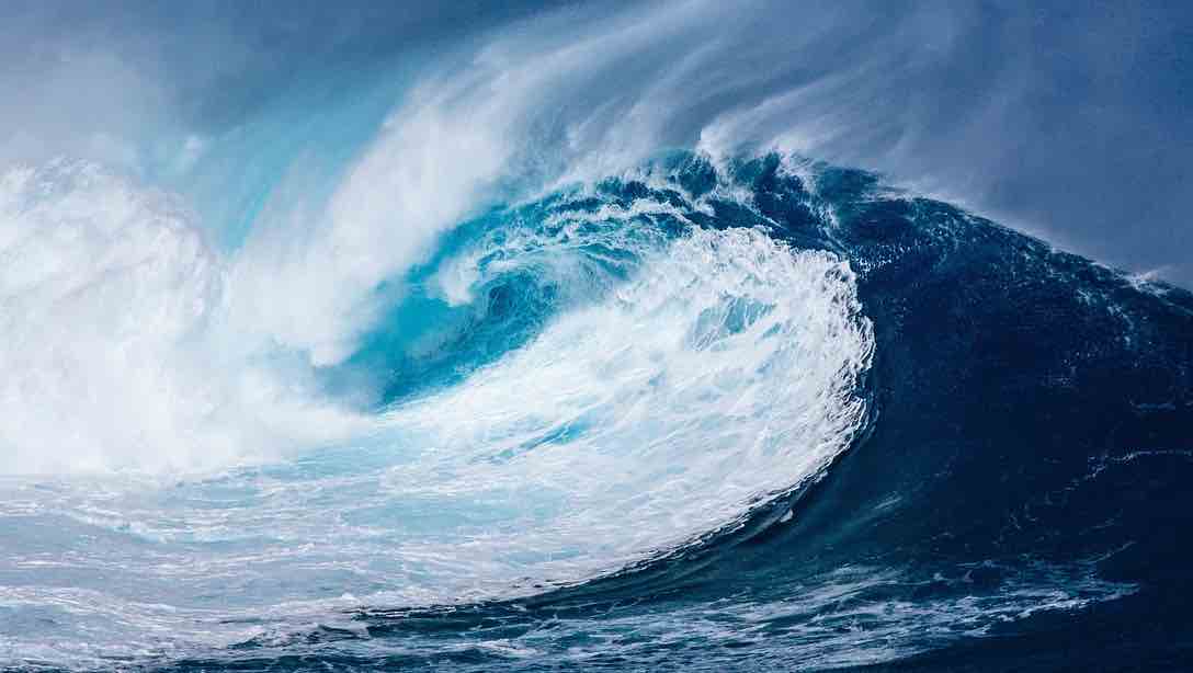 Océan Pacifique : une « vague scélérate » battant tous les records est ...